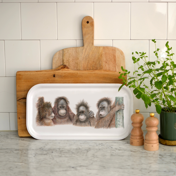 Plateau long - orangs-outans - par Charlotte Nicolin